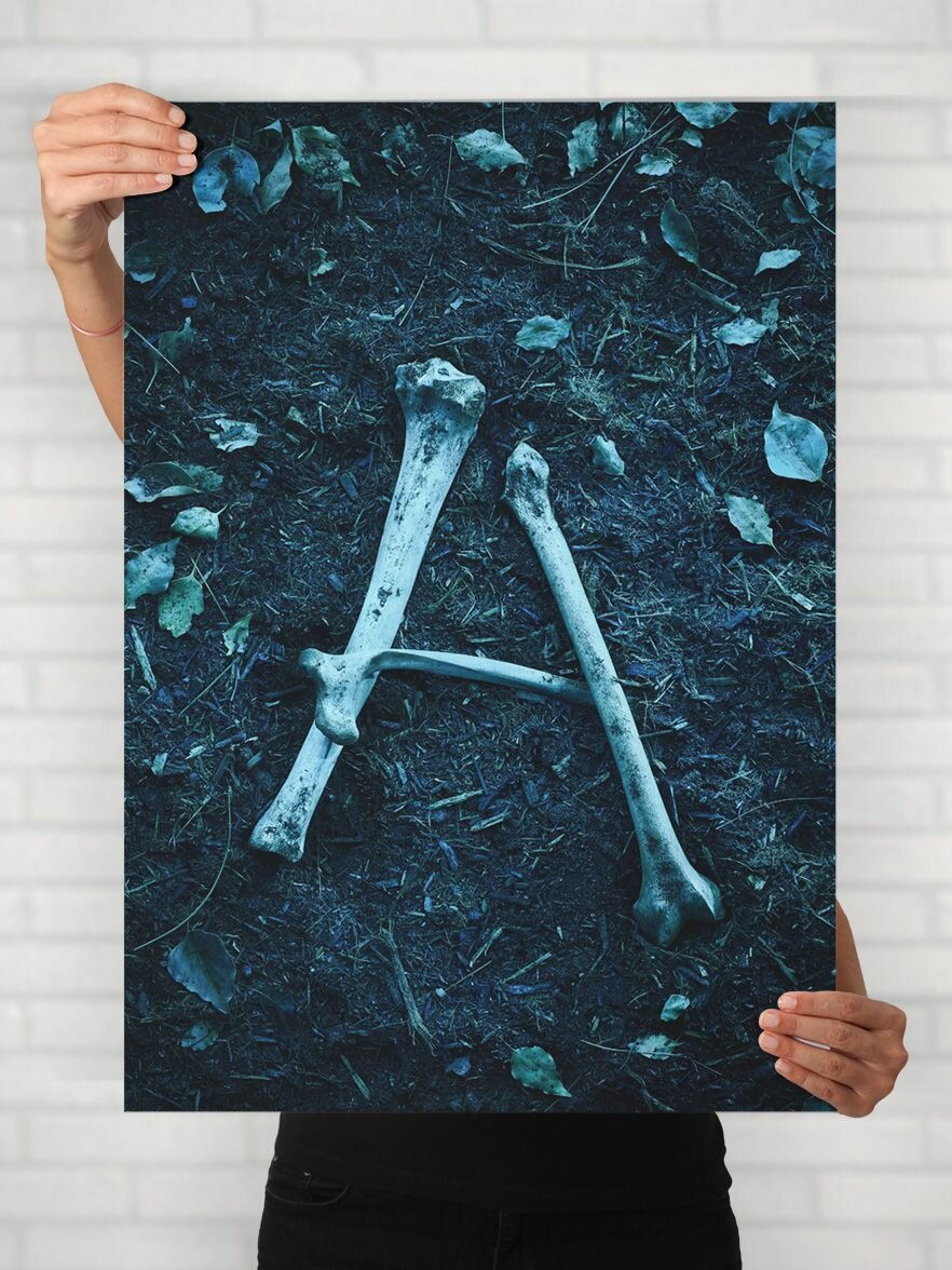Плакат на стену для интерьера Озарк (Ozark 12) - Постер по сериалу формата А1 (60x84 см)