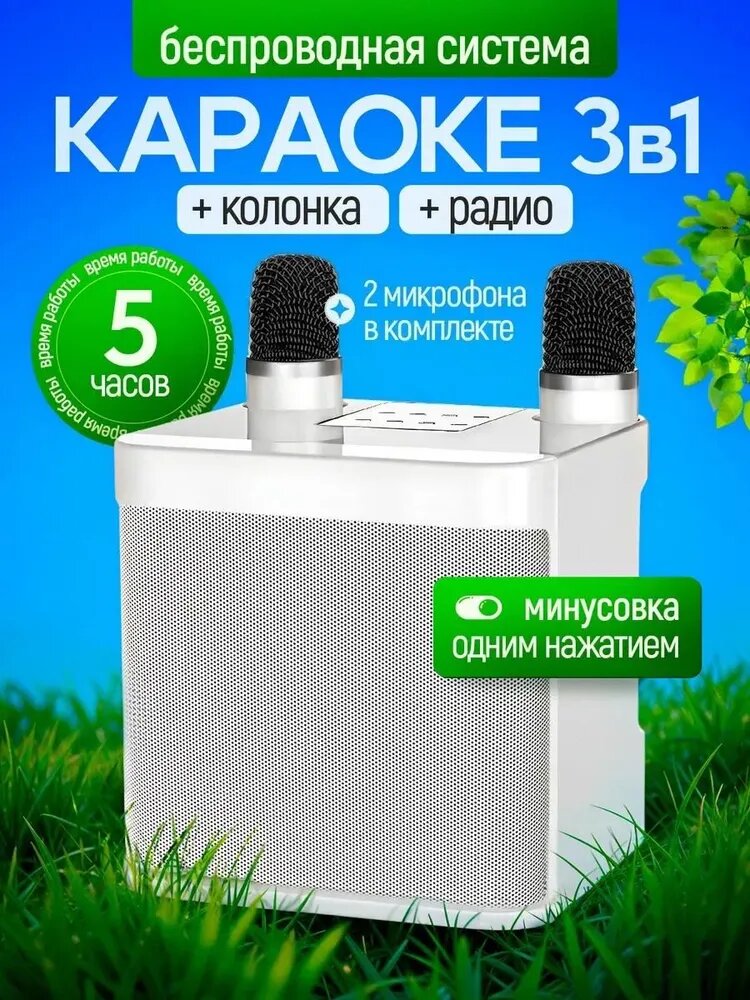 Домашняя портативная караоке-система с 2 микрофонами