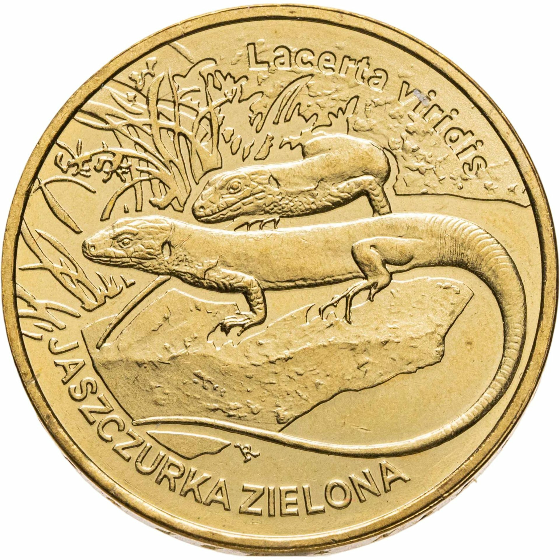Польша 2 злотых zlote 2009 Всемирная природа - Зелёная ящерица, Латунь, в сохранности AU
