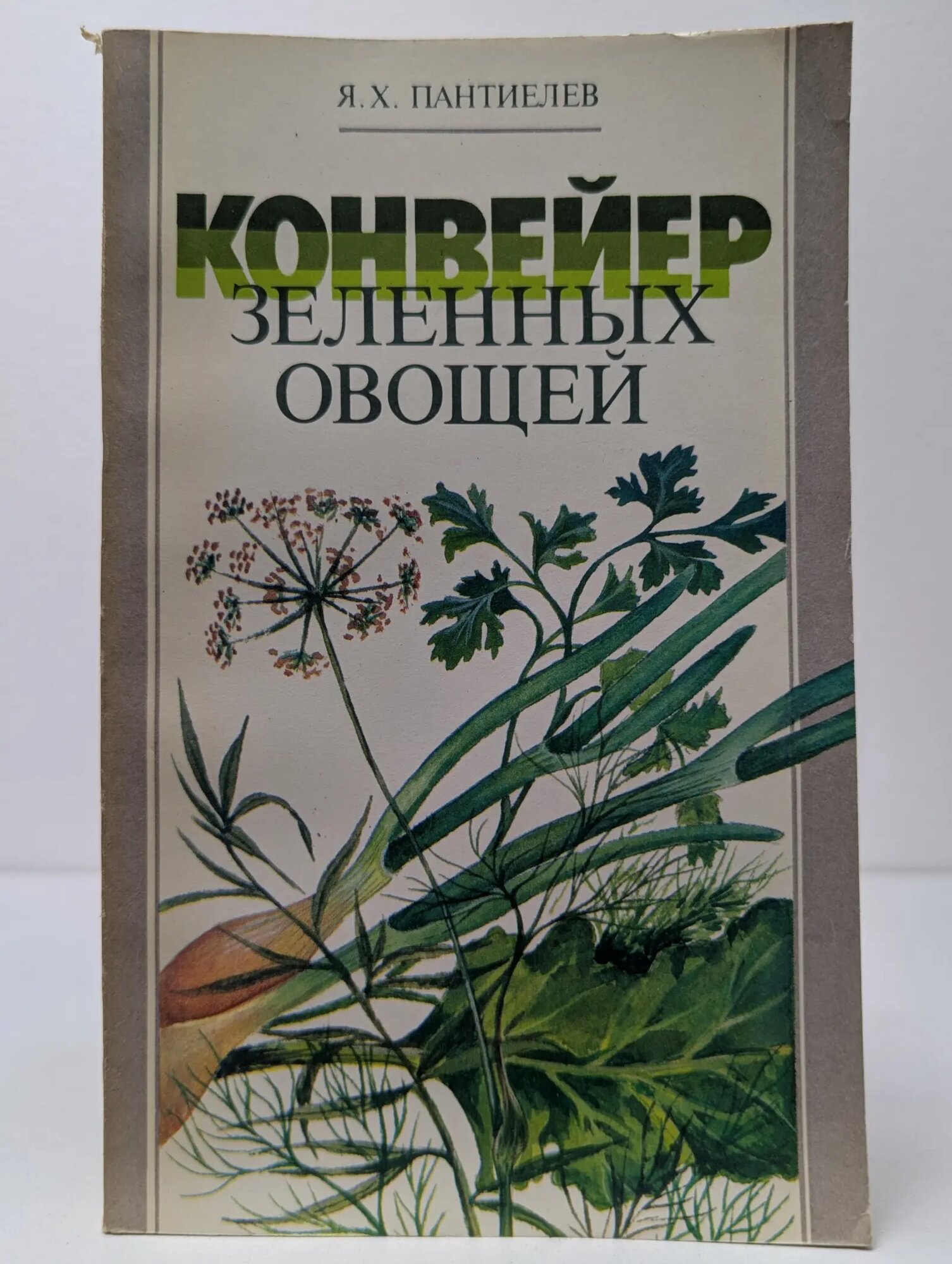 Конвейер зеленных овощей Пантилев Яков Хацкелевич 1987