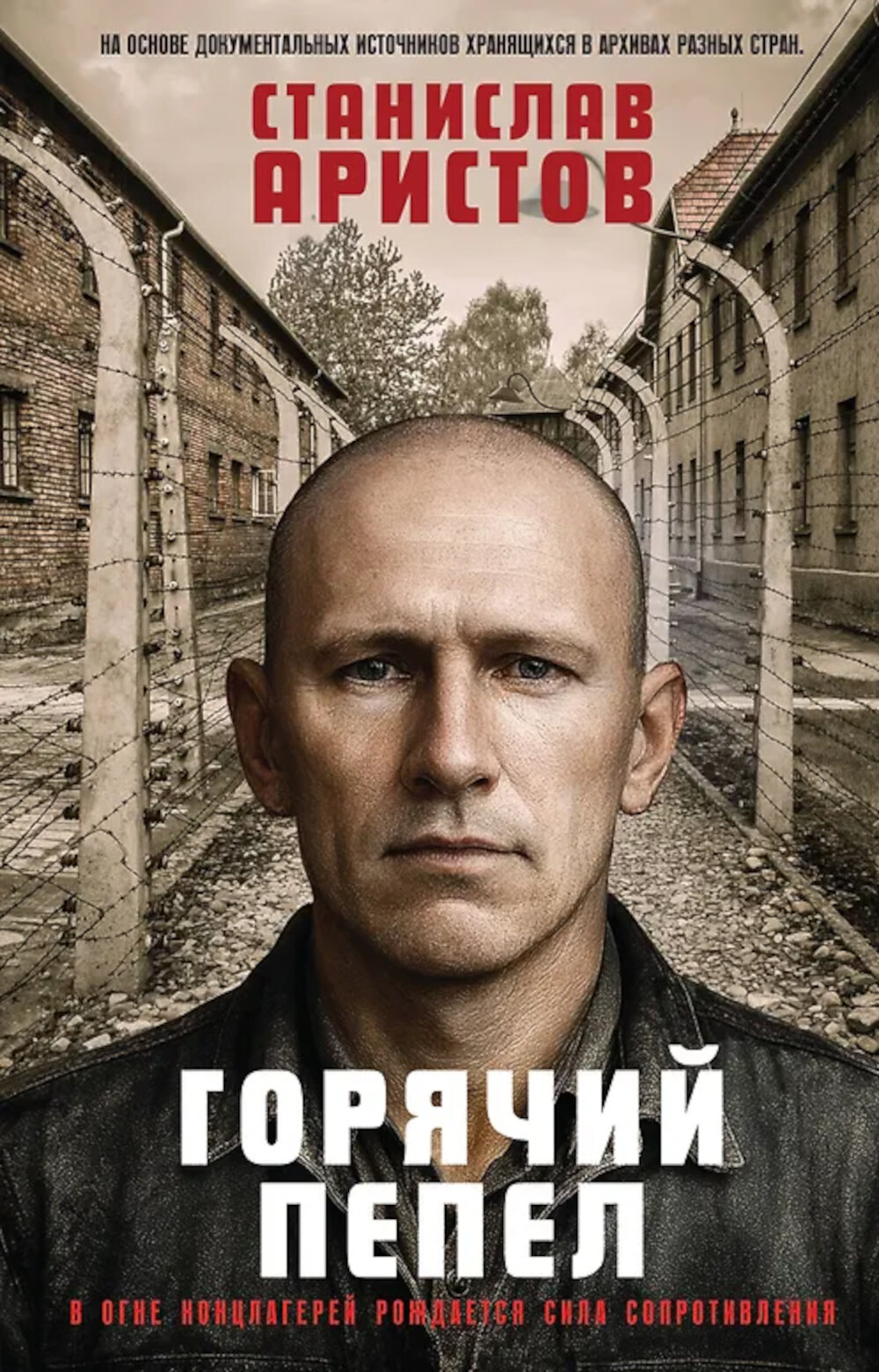 Горячий пепел. Аристов С. В.