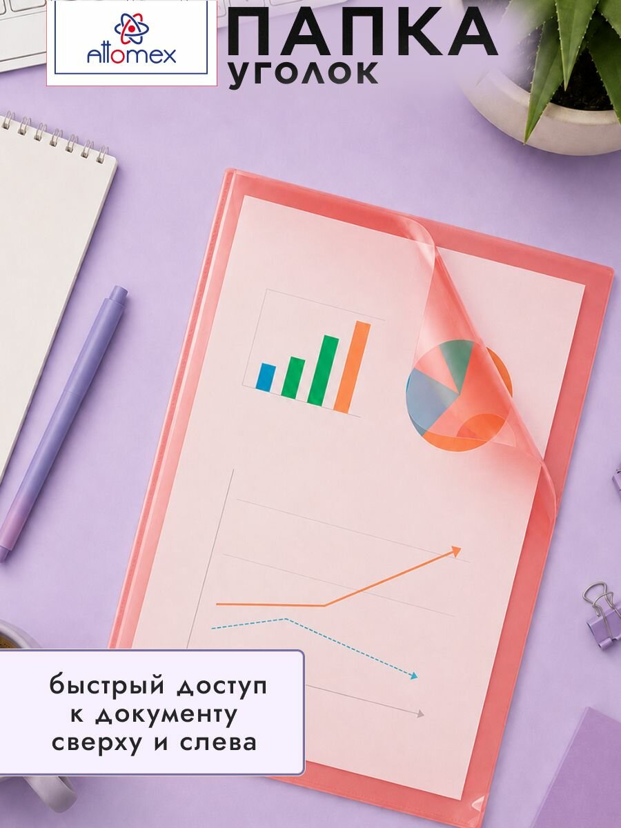 Папка-уголок для документов А4 4 штук — фото 1