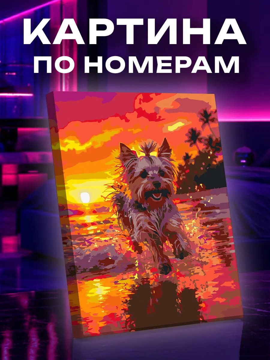 Картина по номерам Йоркширский терьер бежит на фоне заката