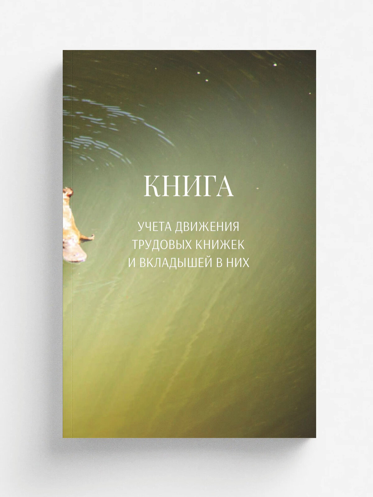 Книга учета трудовых книжек и вкладыщей к ним