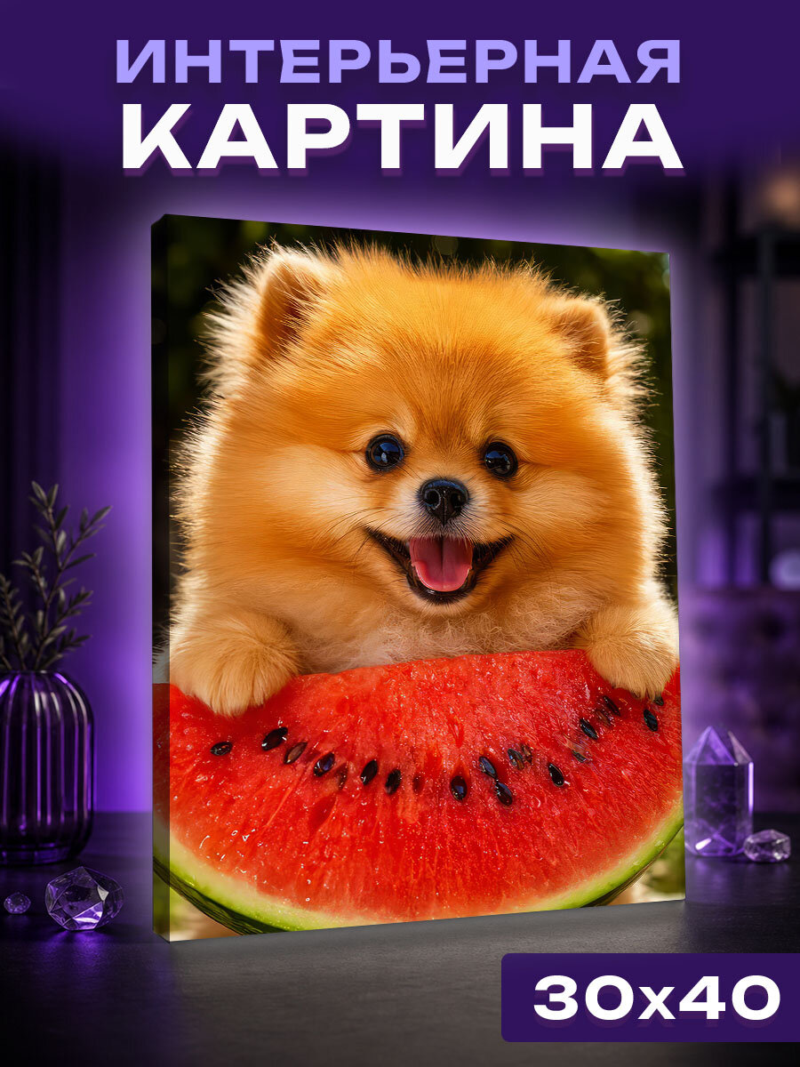 Интерьерная картина Веселый щенок шпица у сочного арбуза