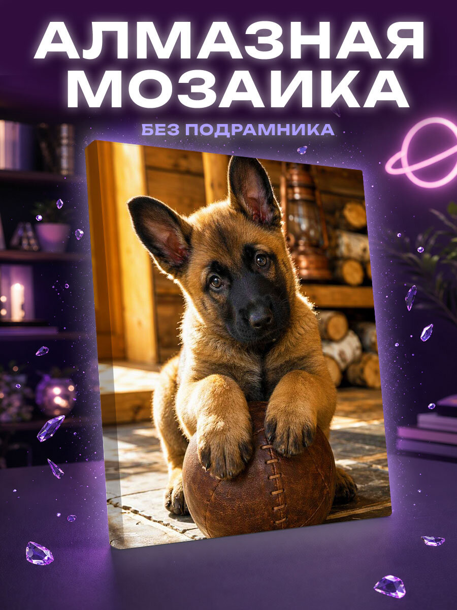 Алмазная мозаика щенок малинуа с кожаным мячом в прихожей