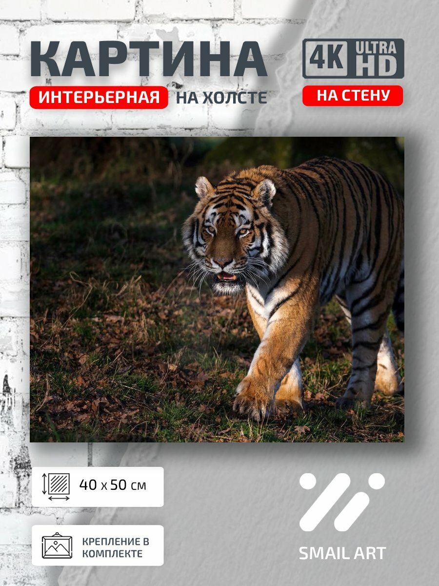 Картина на холсте интерьерная 40 на 50 на стену Травав Animal для спальни animal style