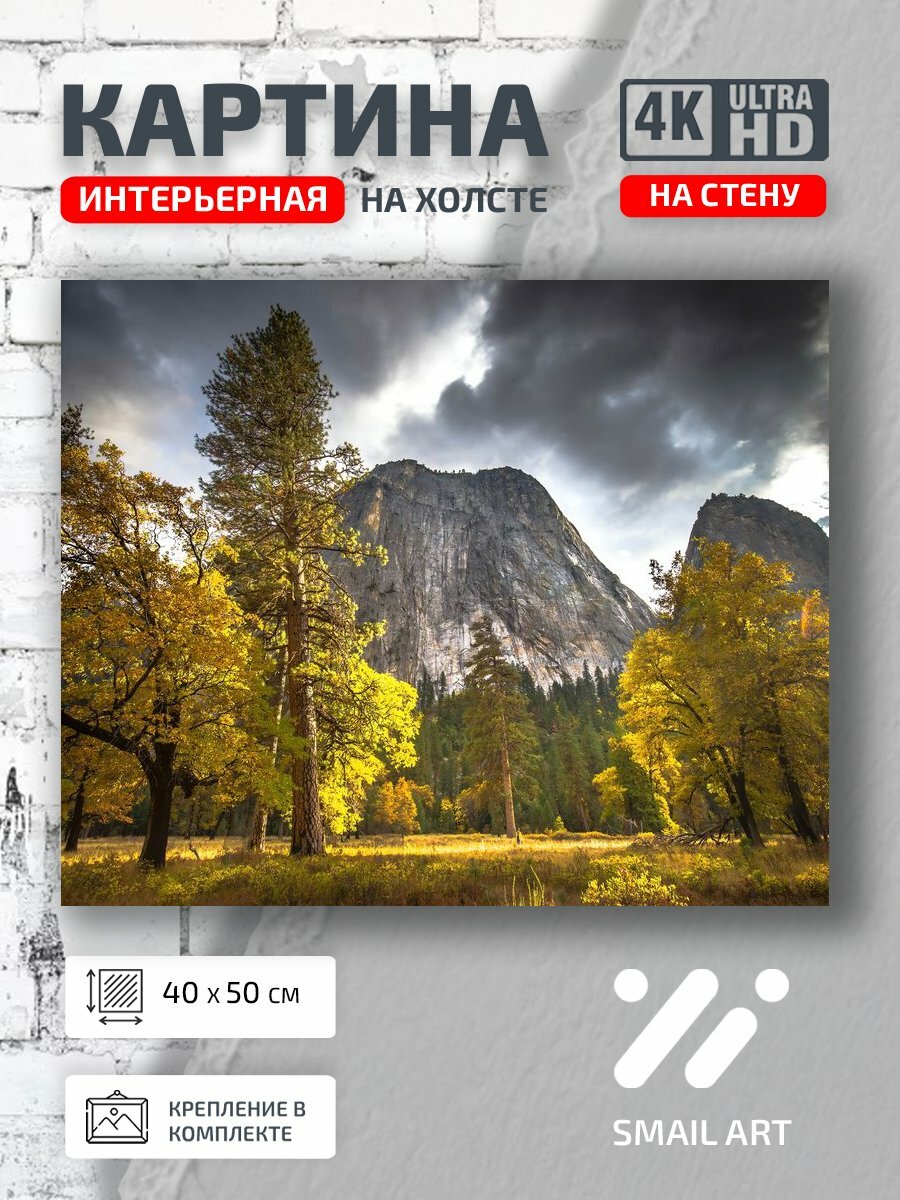 Картина на холсте интерьерная 40 на 50 на стену Деревья Landscape для кабинета пейзаж декор