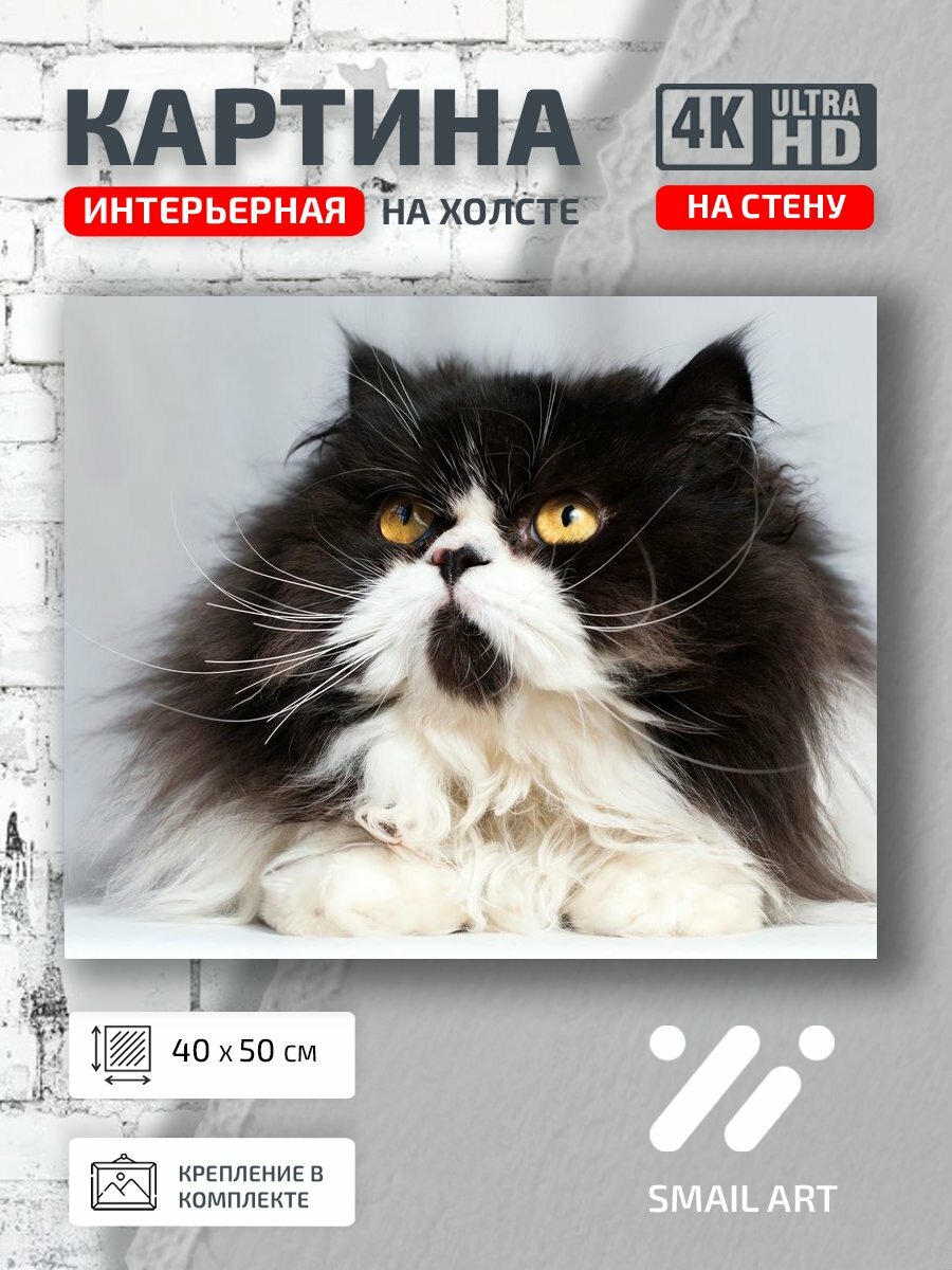 Картина на холсте интерьерная 40 на 50 на стену Шерсть Animal для кафе animal style декор