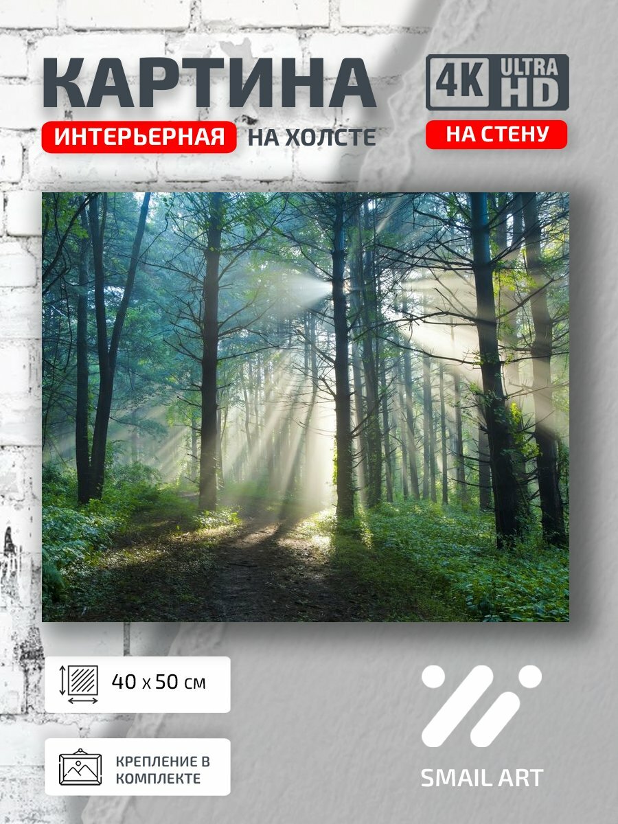 Картина на холсте интерьерная 40 на 50 на стену Тропе Landscape для кабинета пейзаж декор
