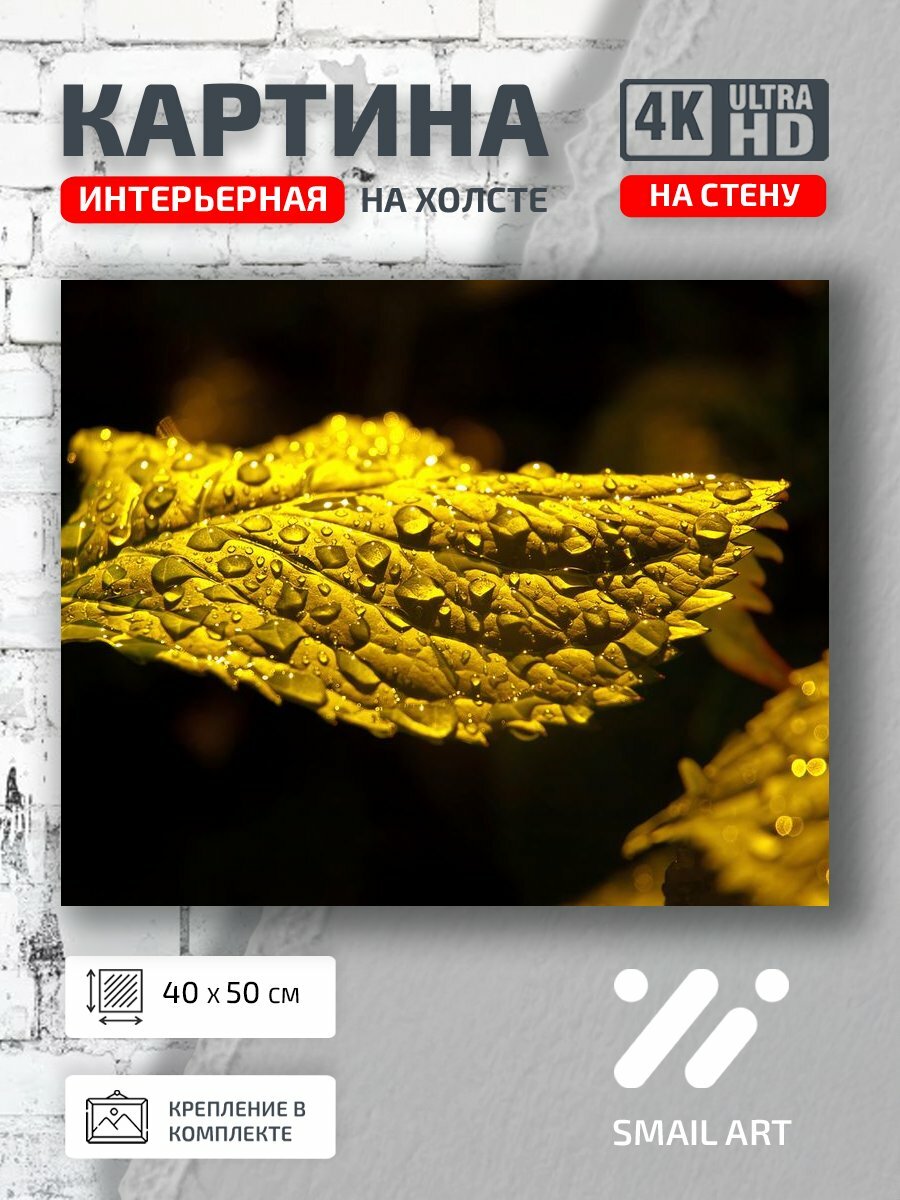 Картина на холсте интерьерная 40 на 50 на стену Каплями Landscape для гостиной пейзаж декор