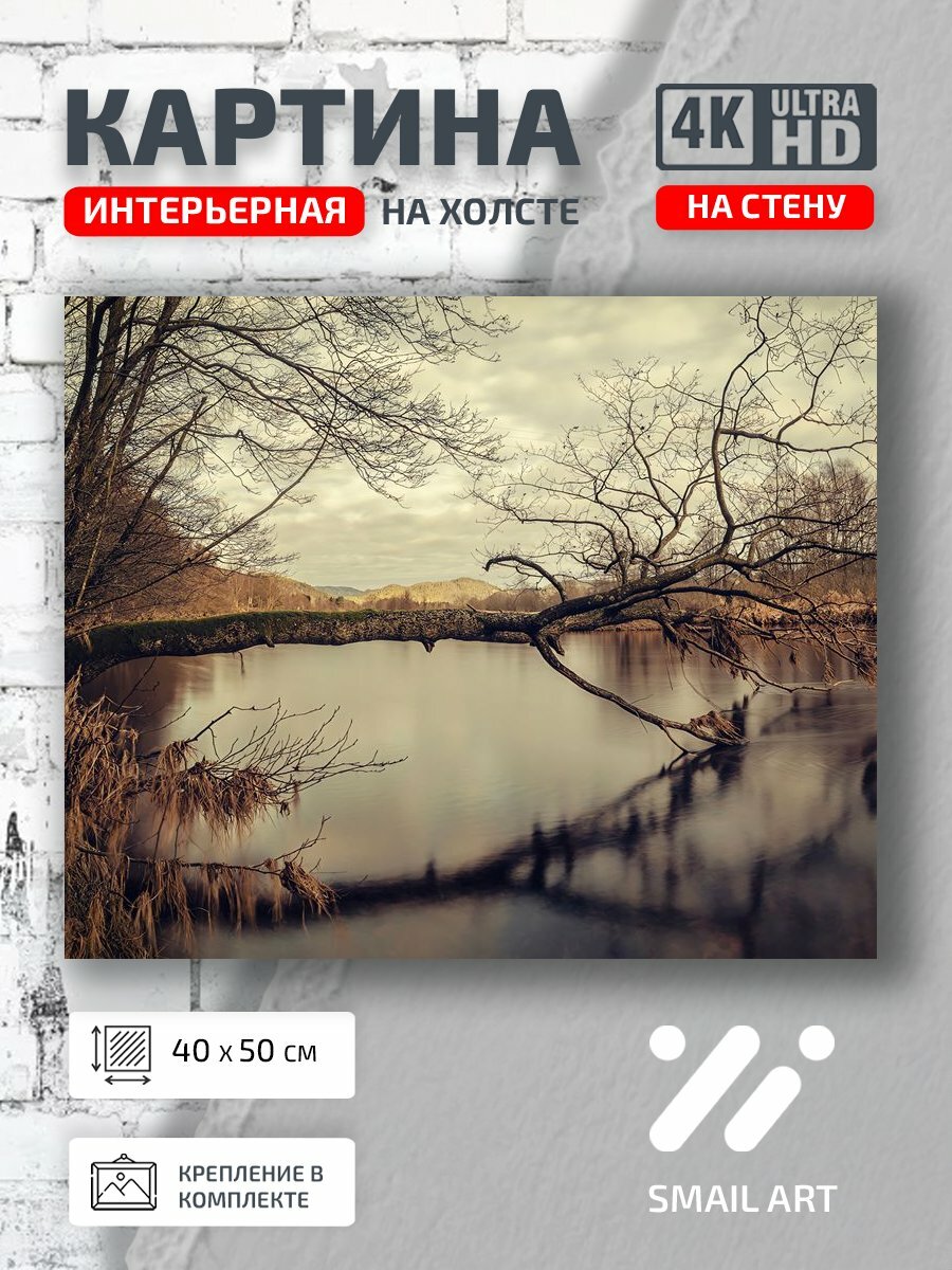 Картина на холсте интерьерная 40 на 50 на стену Дерева Landscape для гостиной пейзаж декор