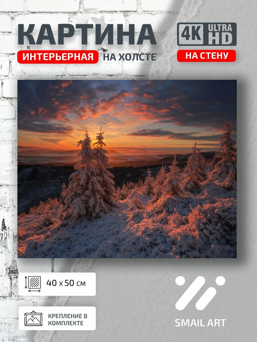 Картина на холсте интерьерная 40 на 50 на стену Иней Mood для офиса атмосфера интерьер