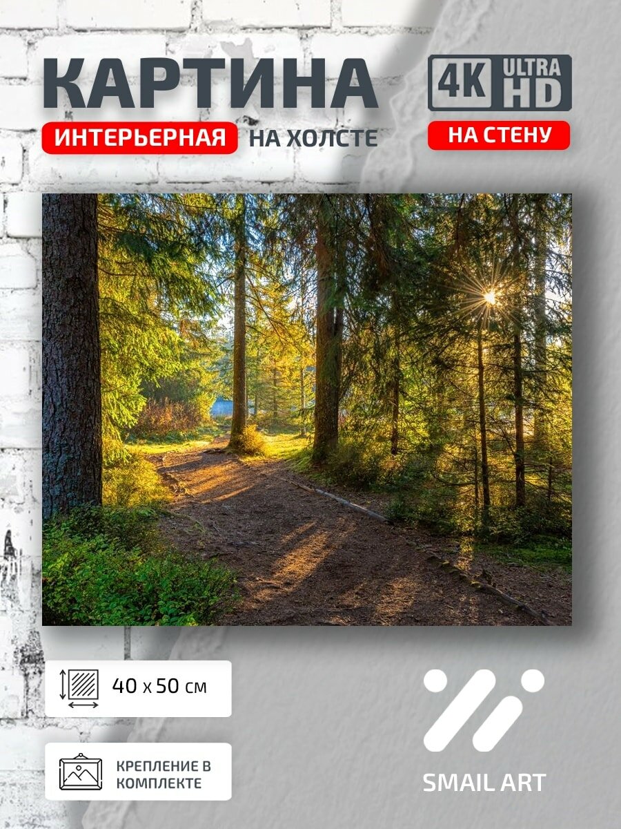 Картина на холсте интерьерная 40 на 50 на стену Пейзаж Лес для кабинета атмосфера
