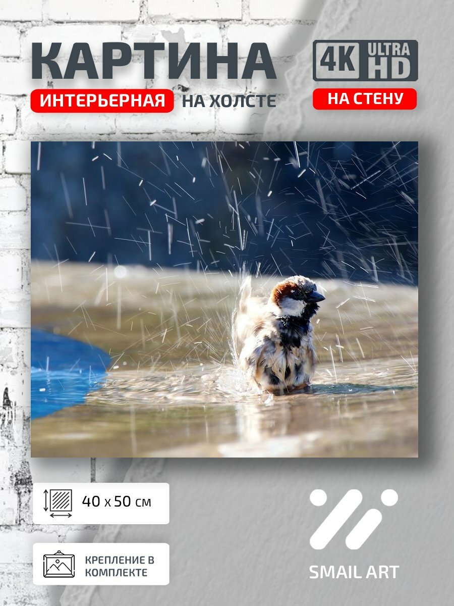 Картина на холсте интерьерная 40 на 50 на стену Дождь Landscape для кабинета пейзаж декор