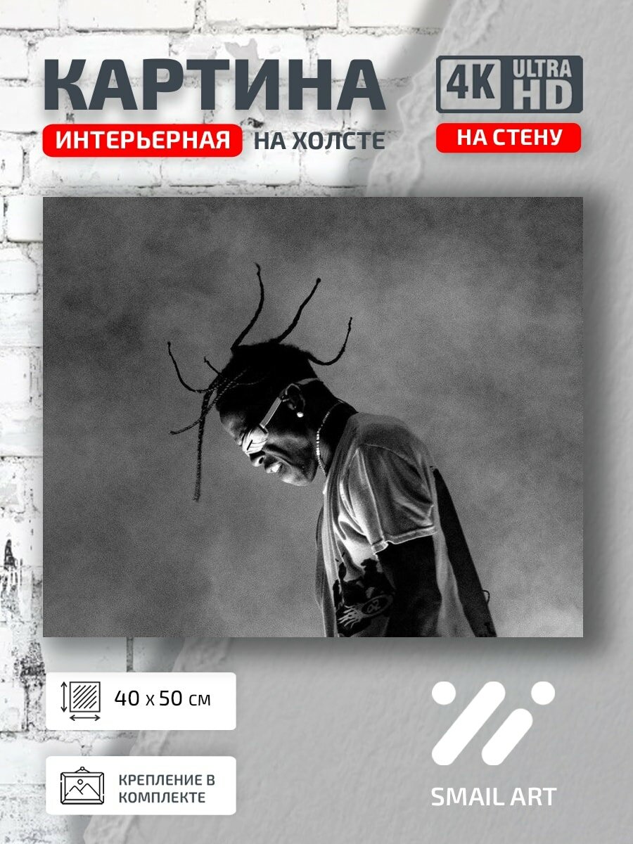 Картина на холсте интерьерная 40 на 50 на стену Скотт Монохром для гостиной атмосфера