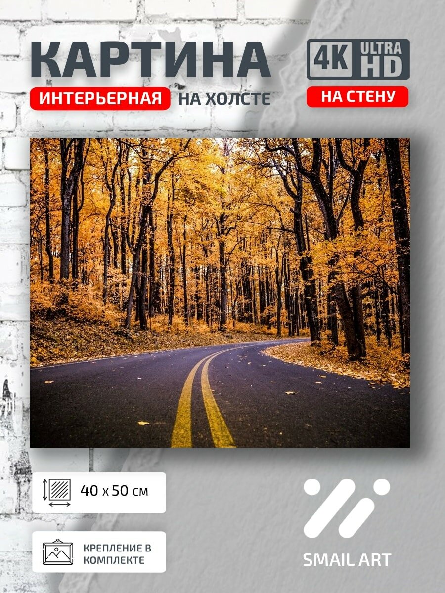 Картина на холсте интерьерная 40 на 50 на стену Шенандоа Вирджиния для гостиной атмосфера