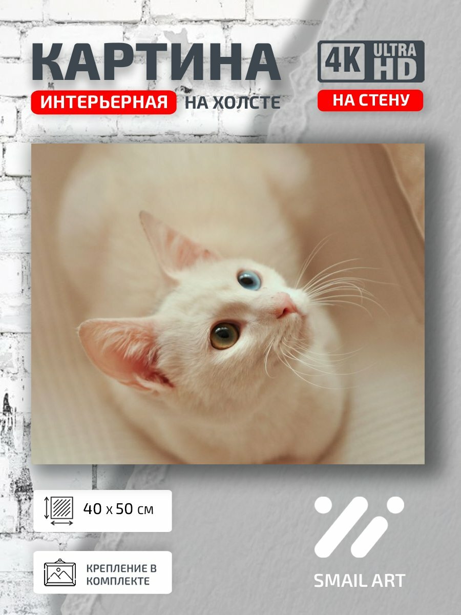 Картина на холсте интерьерная 40 на 50 на стену Глаза Animal для кабинета animal style