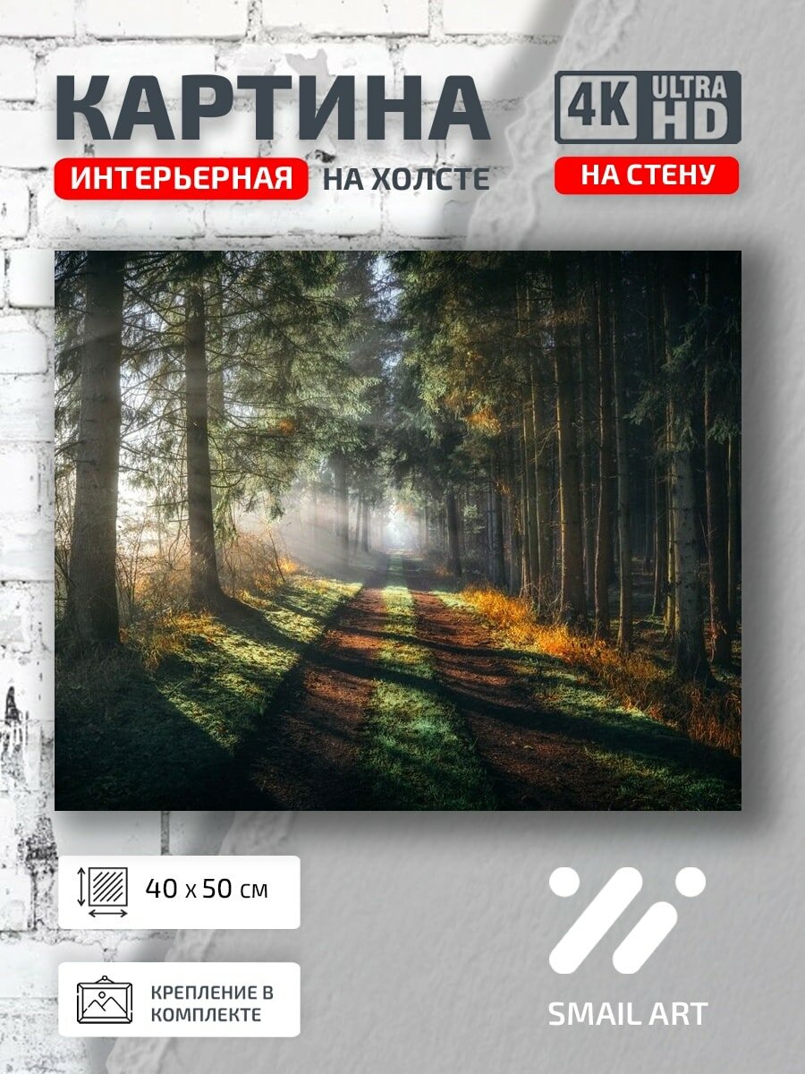 Картина на холсте интерьерная 40 на 50 на стену Лесная тропа для офиса пейзаж