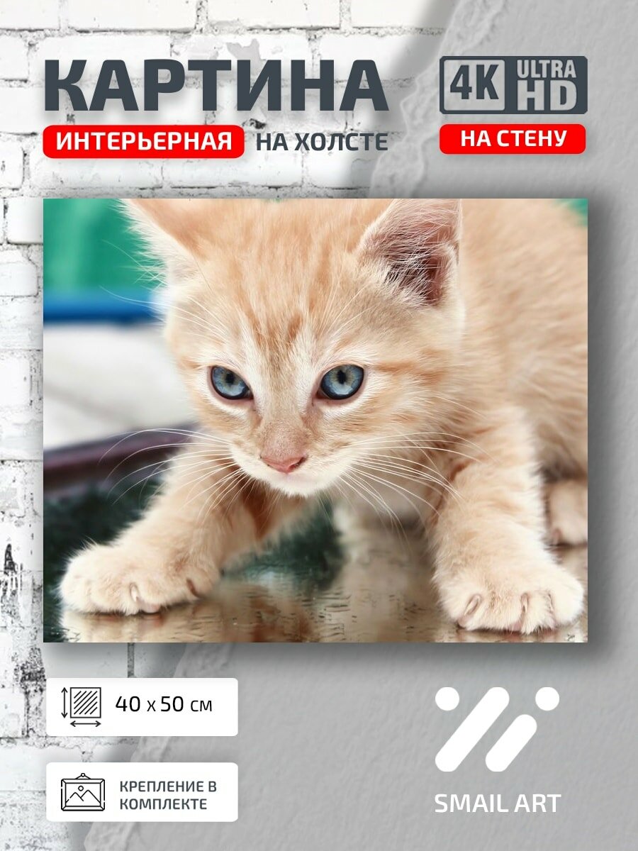 Картина на холсте интерьерная 40 на 50 на стену Животные котёнок для студии атмосфера