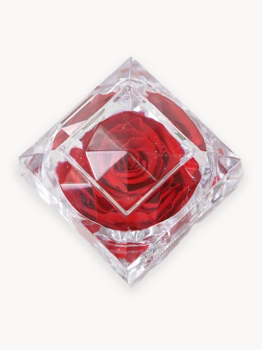 Вечная живая роза в колбе шкатулке