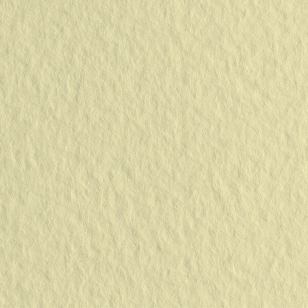 Fabriano Бумага для пастели "Tiziano" 160г/м2 50x65см кремовый, 10л