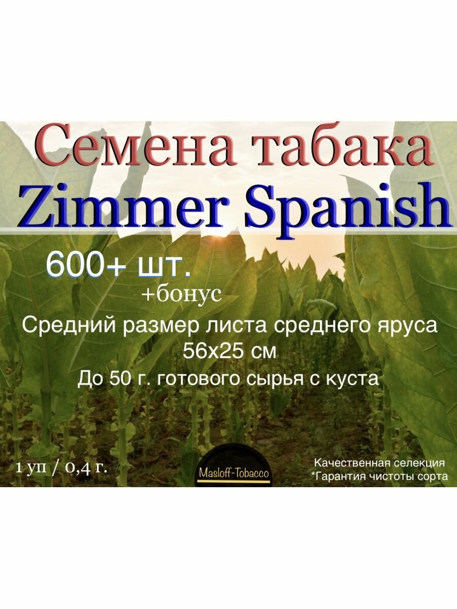 Семена табака Zimmer Spanish