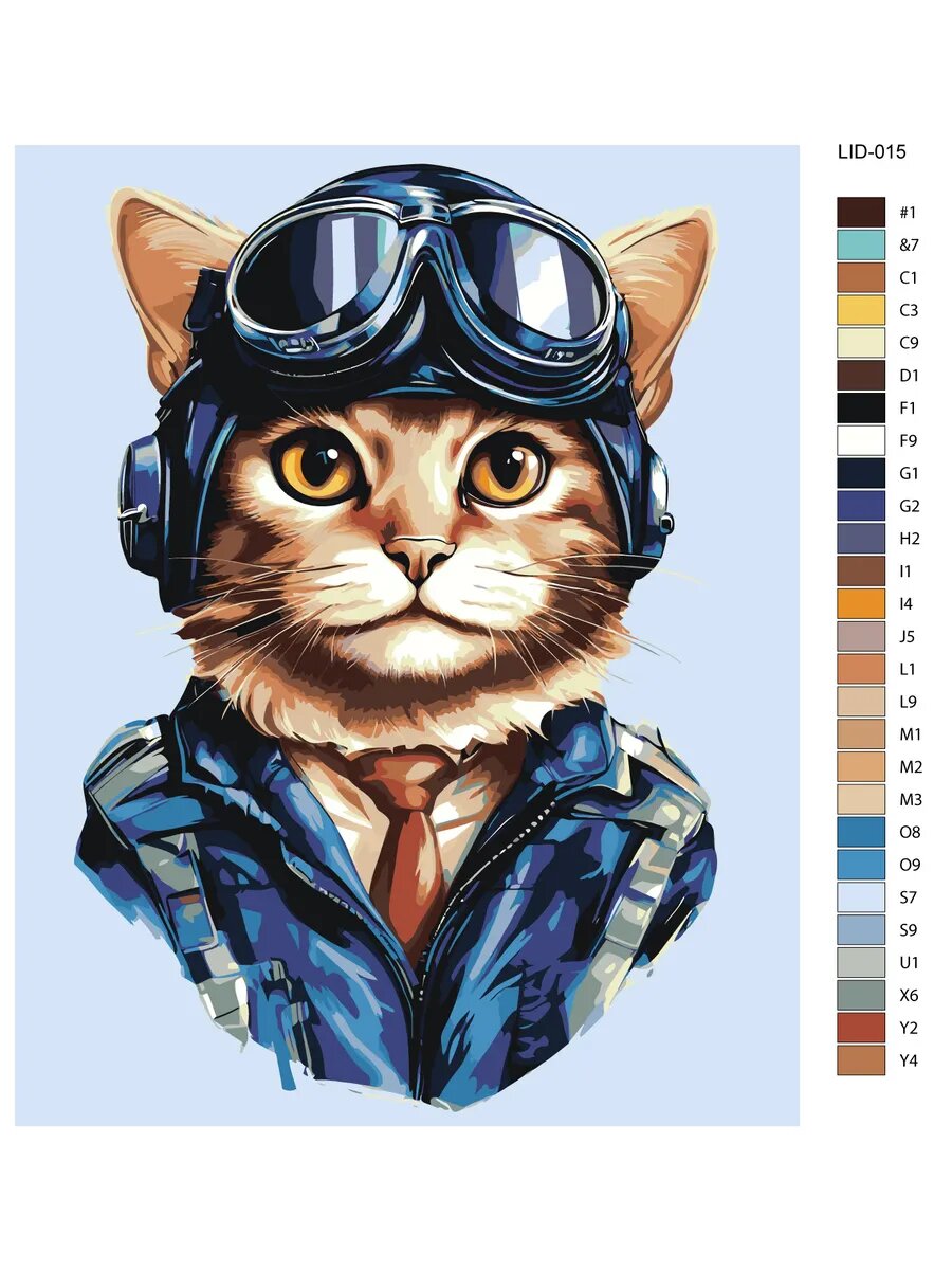 Картина по номерам,80 x 100, LID-015, котик летчик, очки