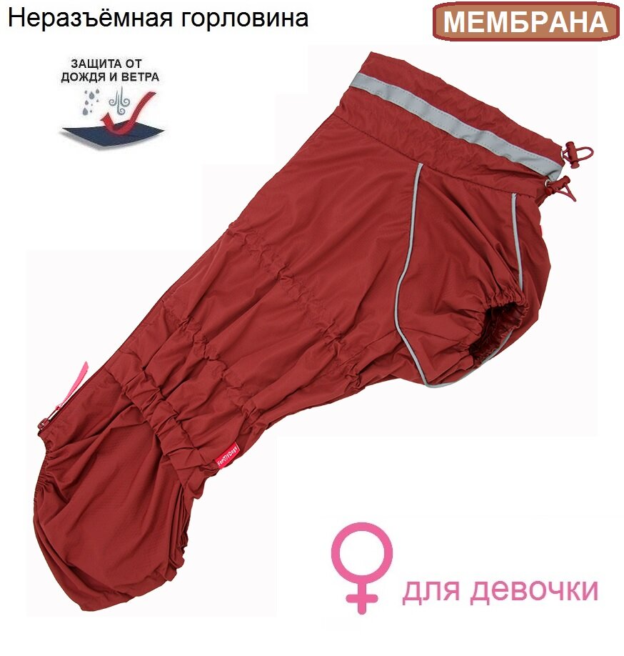 Дождевик-комбинезон для собак девочек породы "вельш-корги" (К43 по спине 45см девочка)