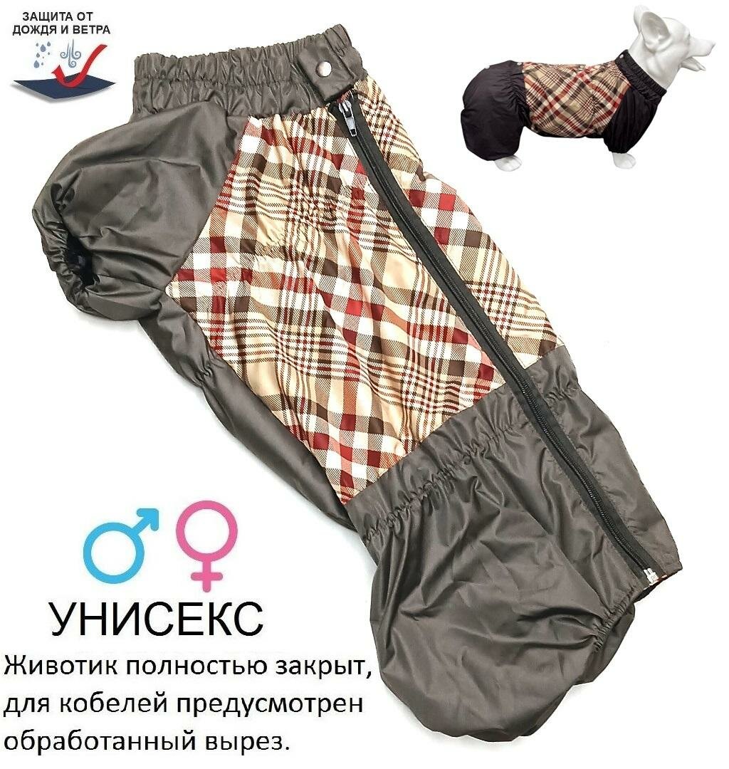 Комбинезон-дождевик для корги "Мокко" (45см )