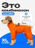 Одежда для животных 0922