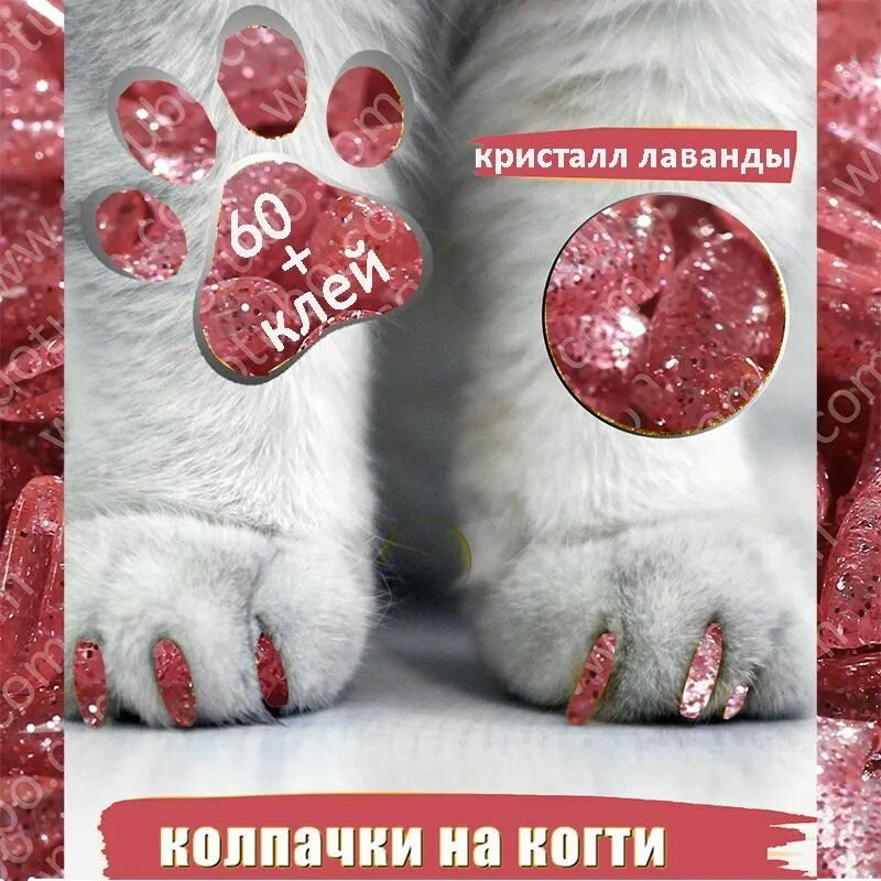 Антицарапки