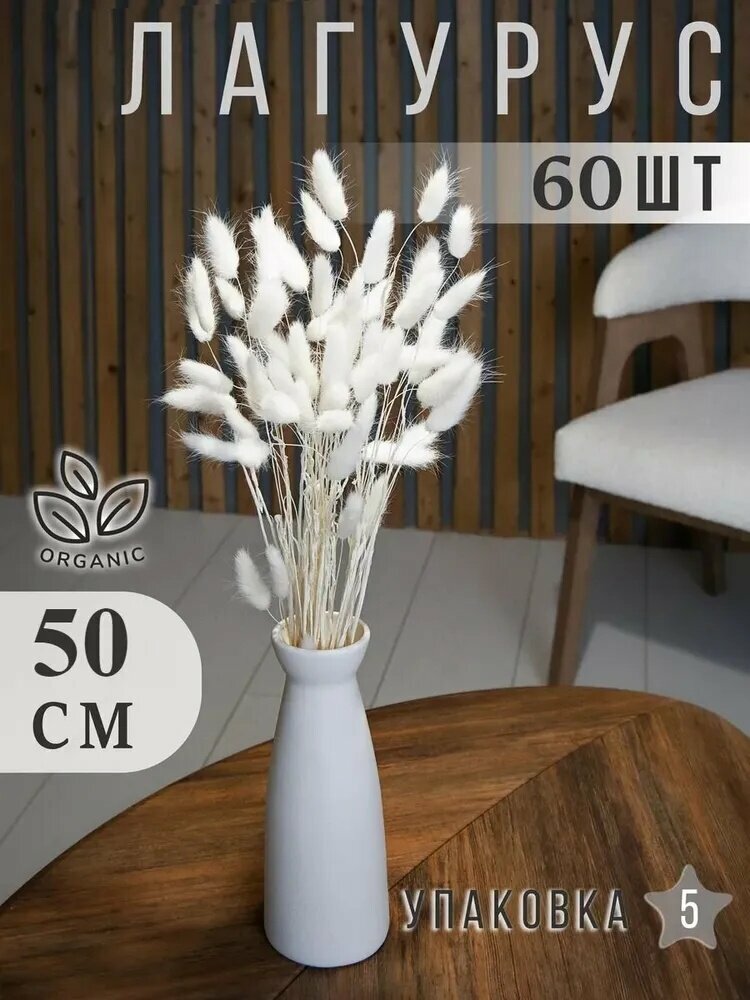 Сухоцветы Сухоцвет, 50 см, 60 гр, 60 шт