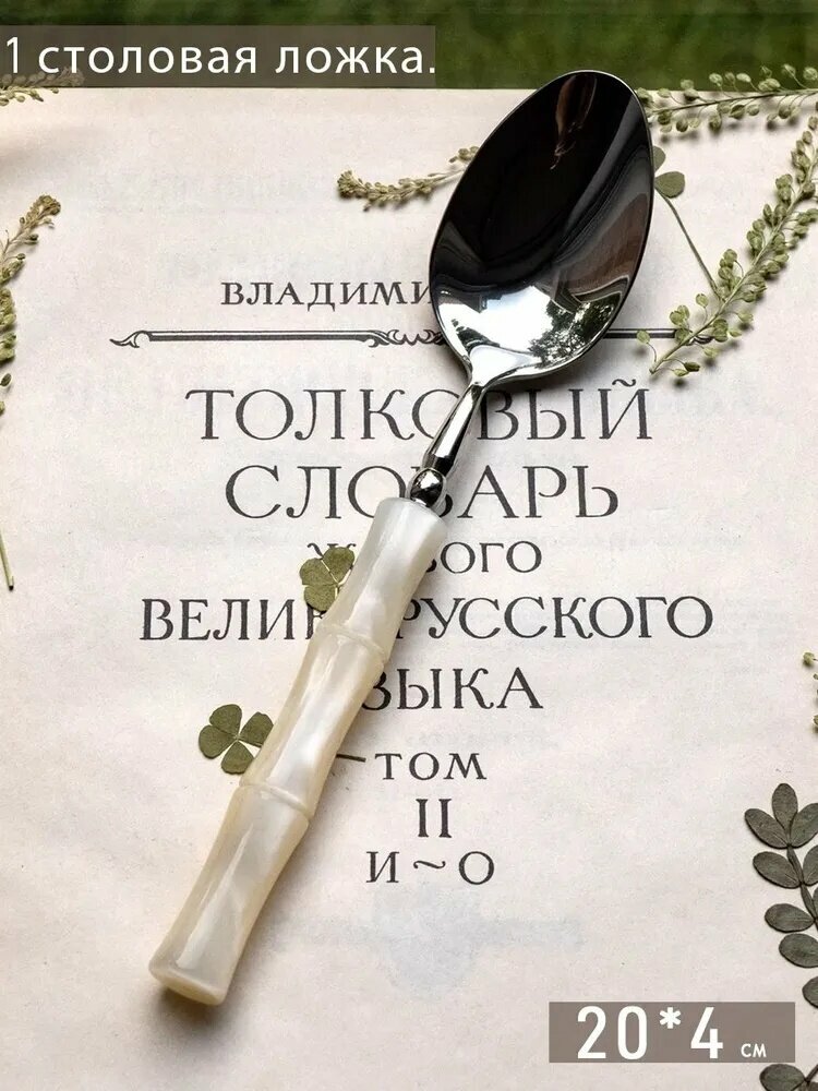 Olevo Ложка столовая 1 предм. разноцветный