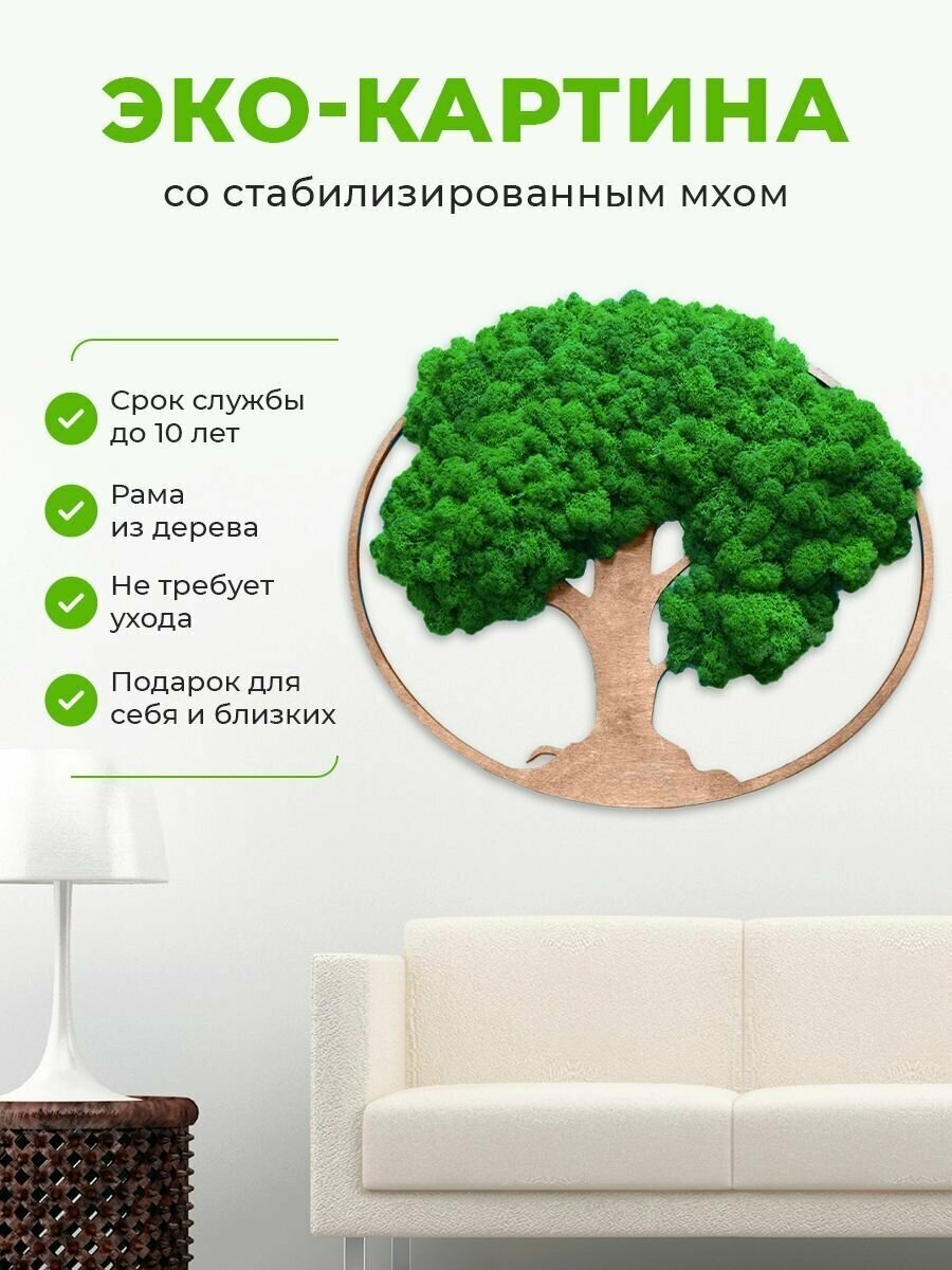 Эко-картина со стабилизированным мхом "Дуб"