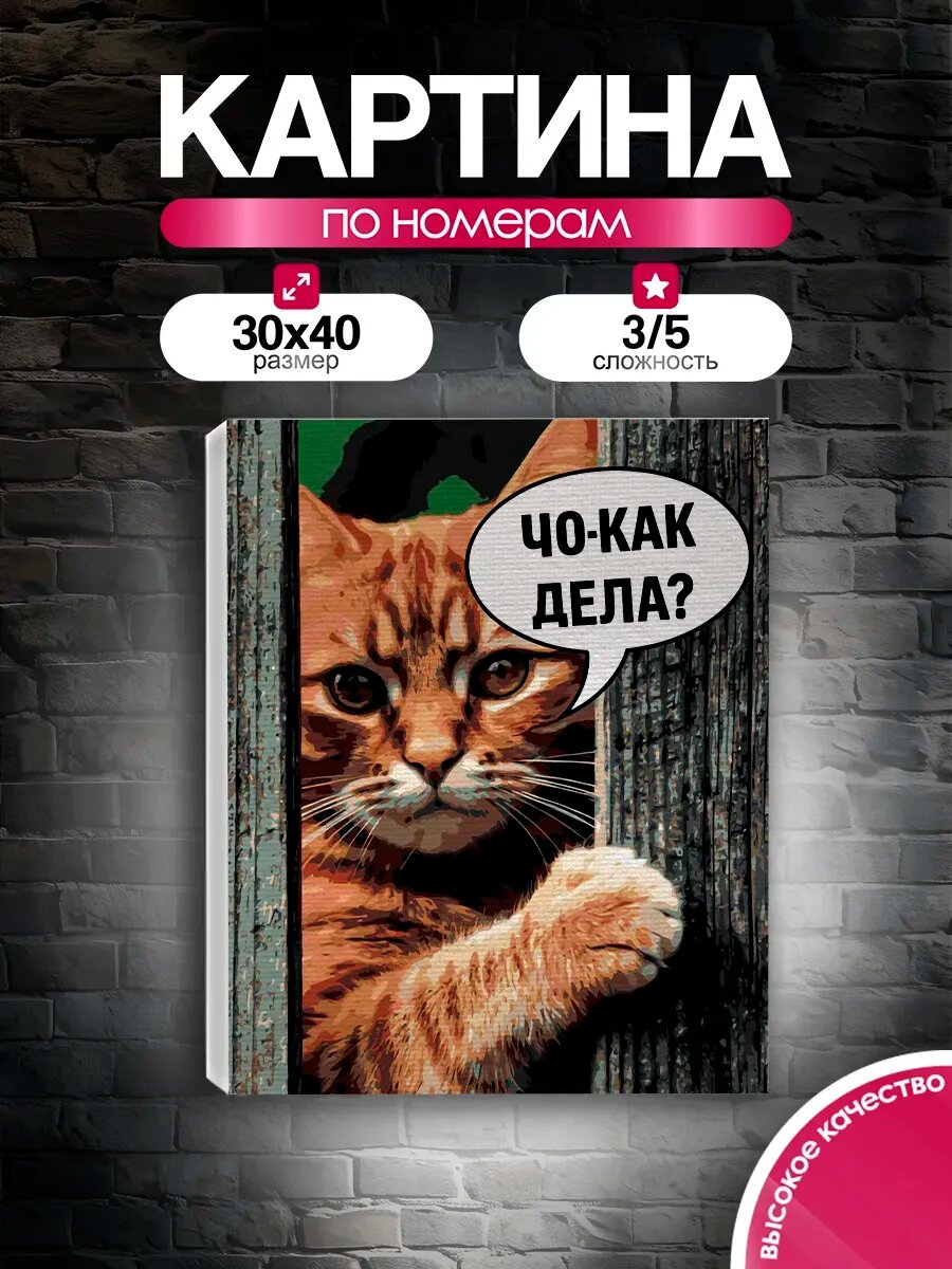 Картина по номерам 30x40 Кот-мем Чо как дела?