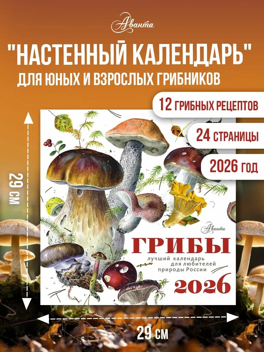 Календарь Грибы 2026 год