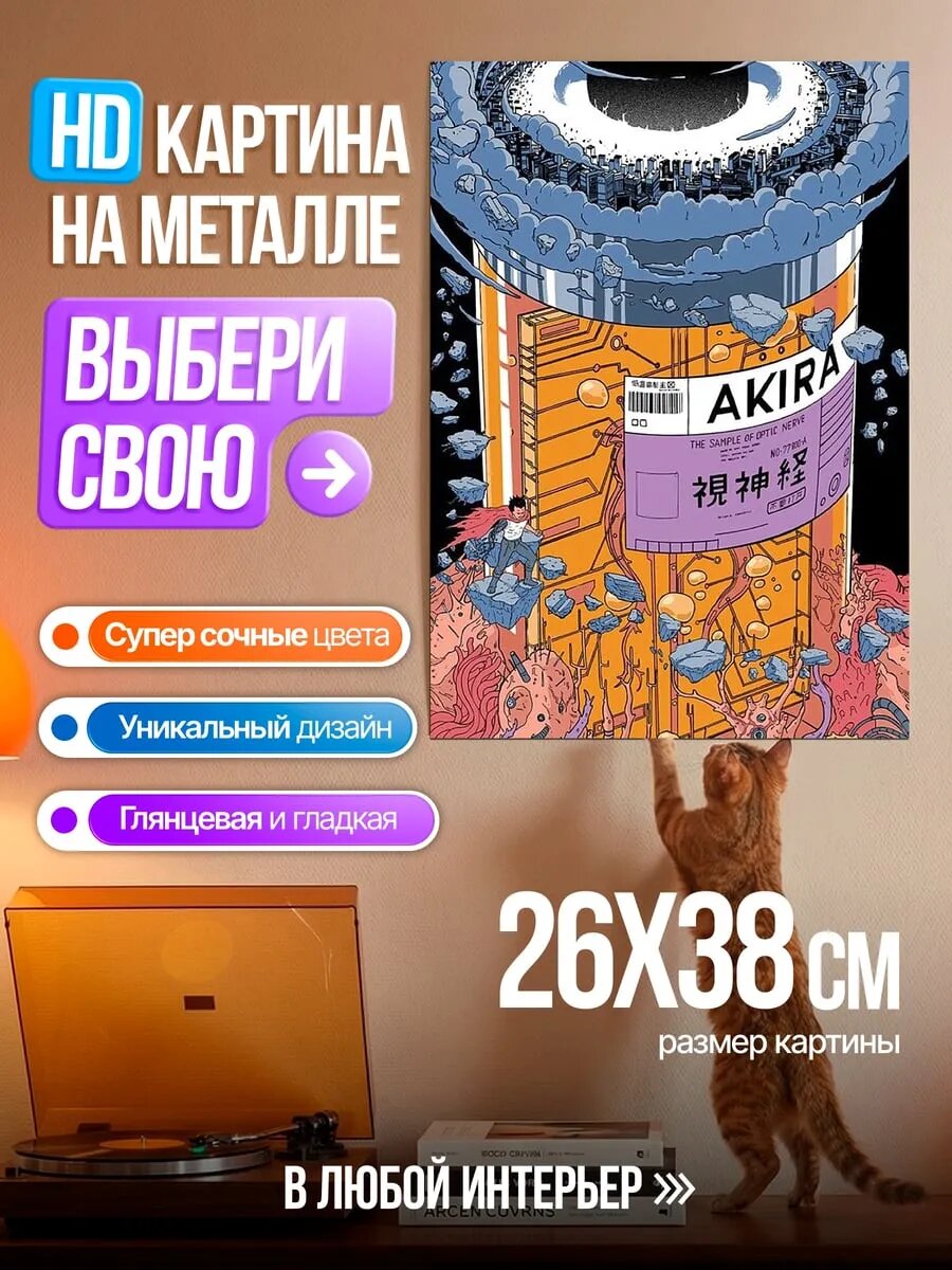 Картина на HD металле Капсула Акира