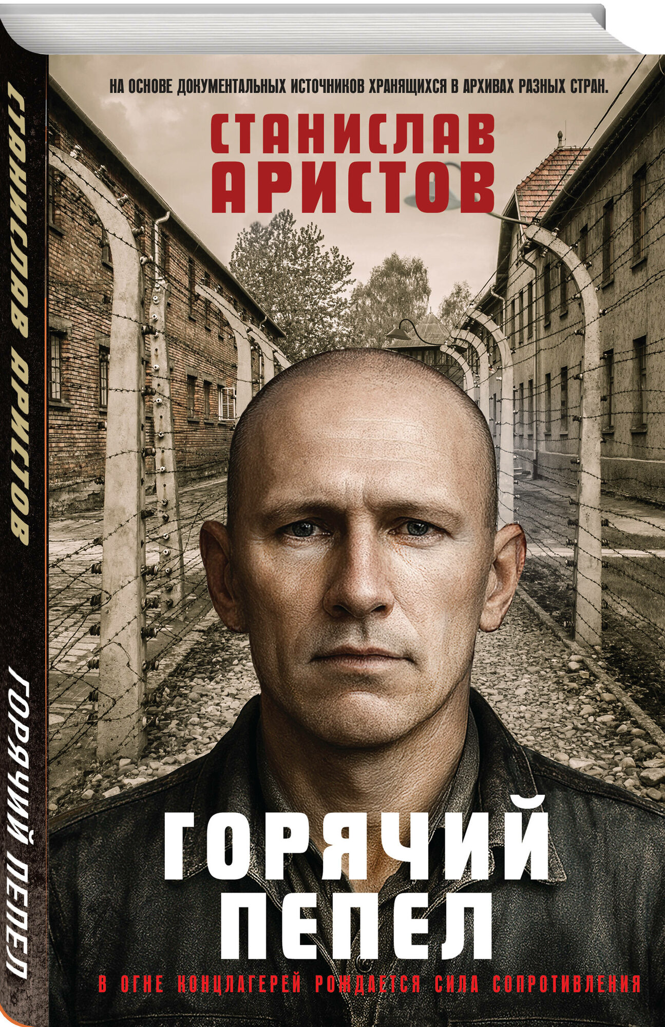 Аристов С. В. Горячий пепел