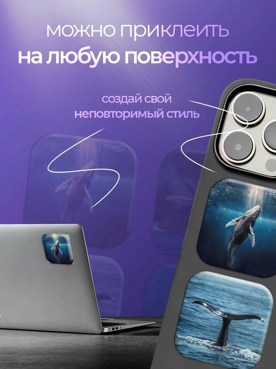 3D стикеры на телефон киты — фото 1