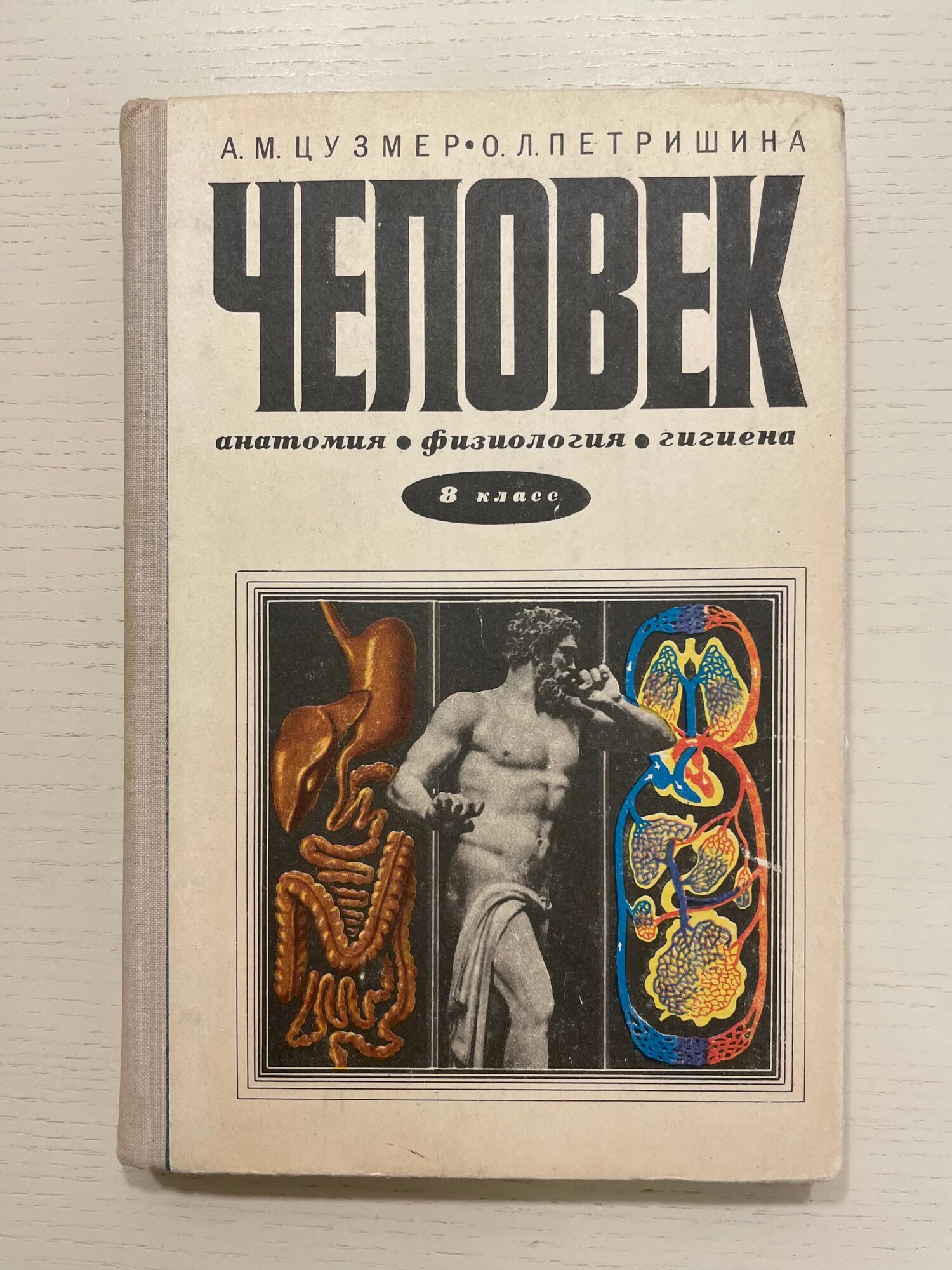 Человек. Анатомия. Физиология. Гигиена. Учебник 8 класс