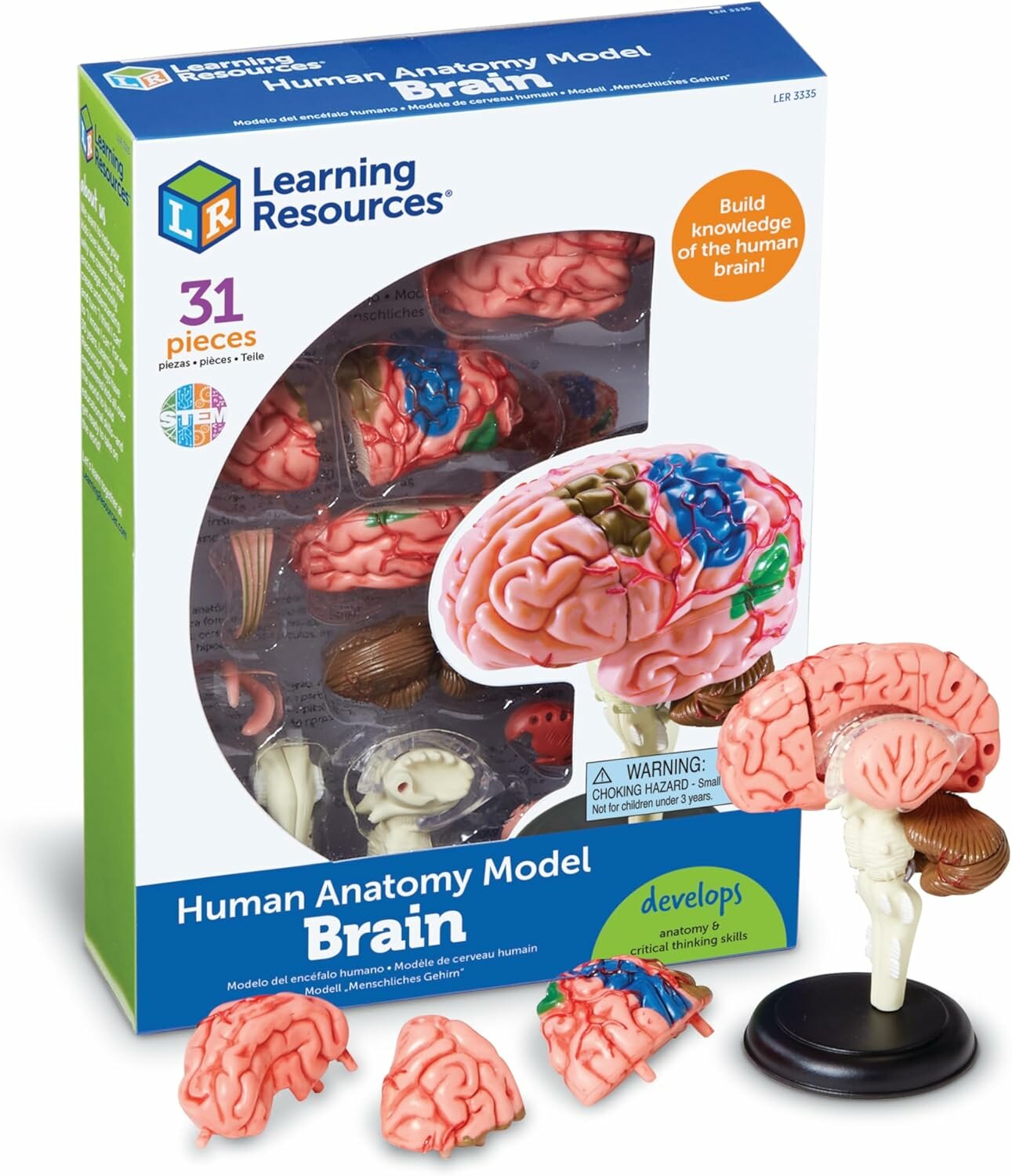 Развивающая игрушка Learning Resources - Анатомическая модель "Мозг", 31 эл. - LER3335