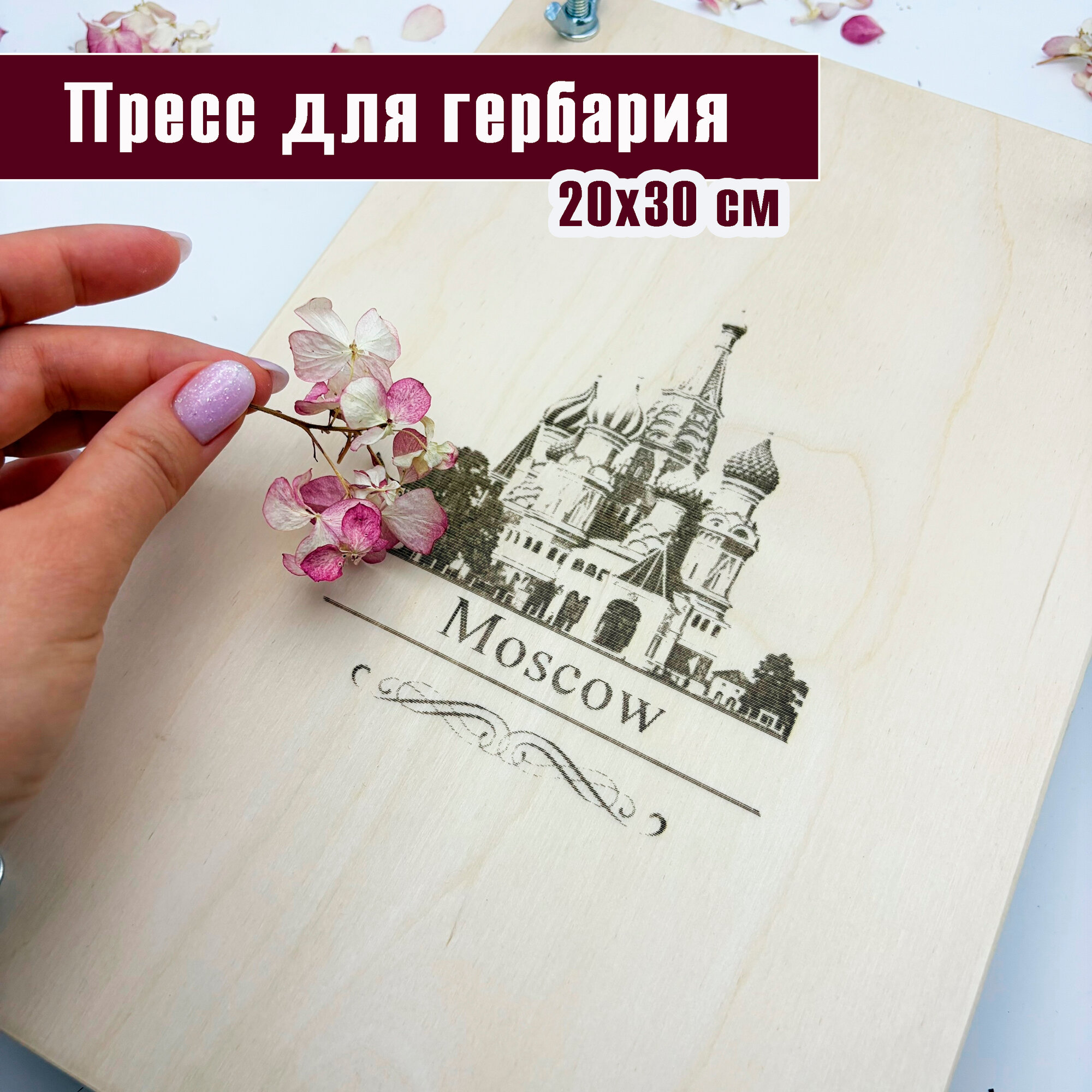 Пресс для сушки гербария А4 "Москва"