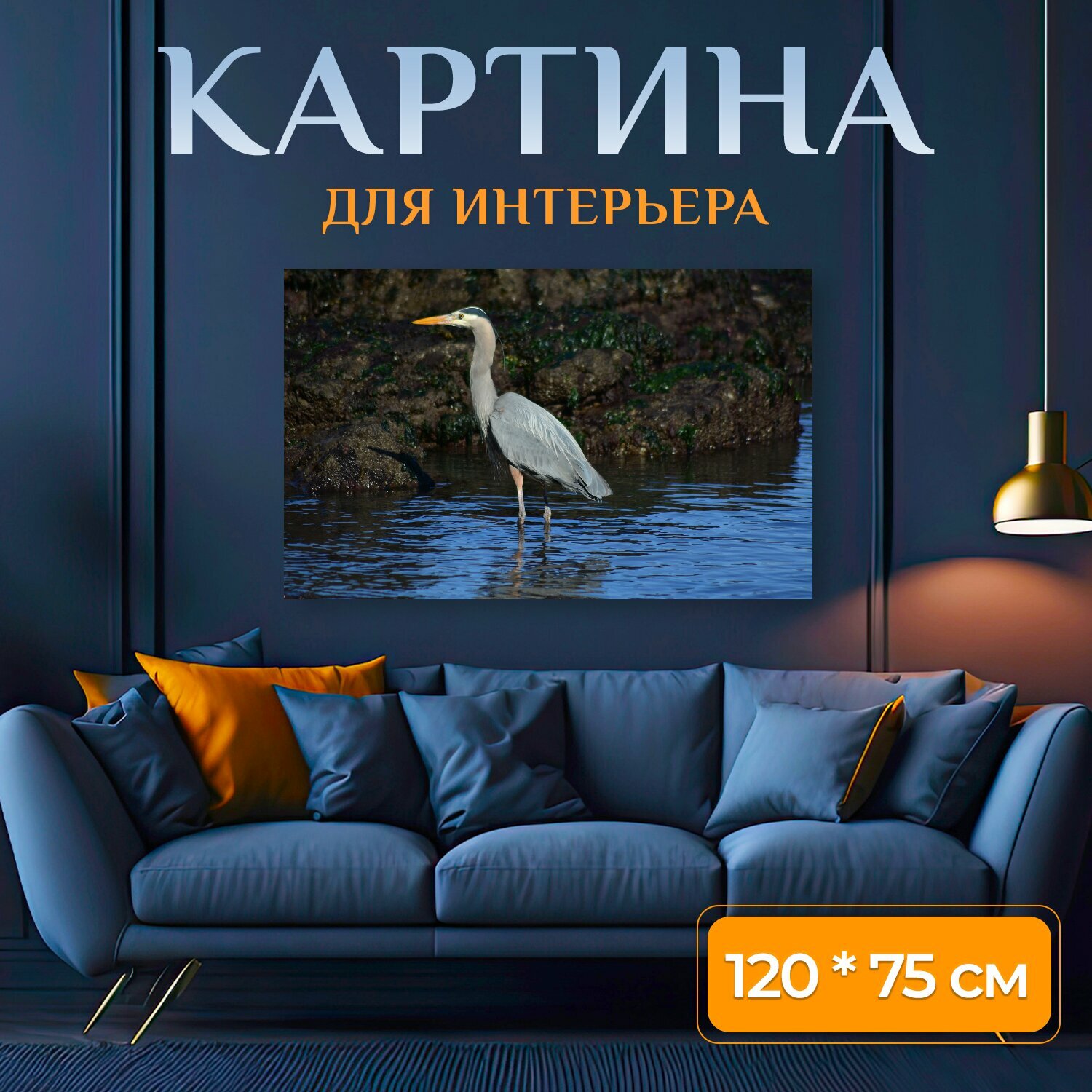 Картина на холсте "Большая голубая цапля, птица, дикая природа" на подрамнике 120х75 см. для интерьера