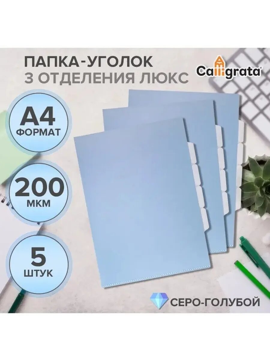 Глянцевые папки-уголки А4, 5 шт.