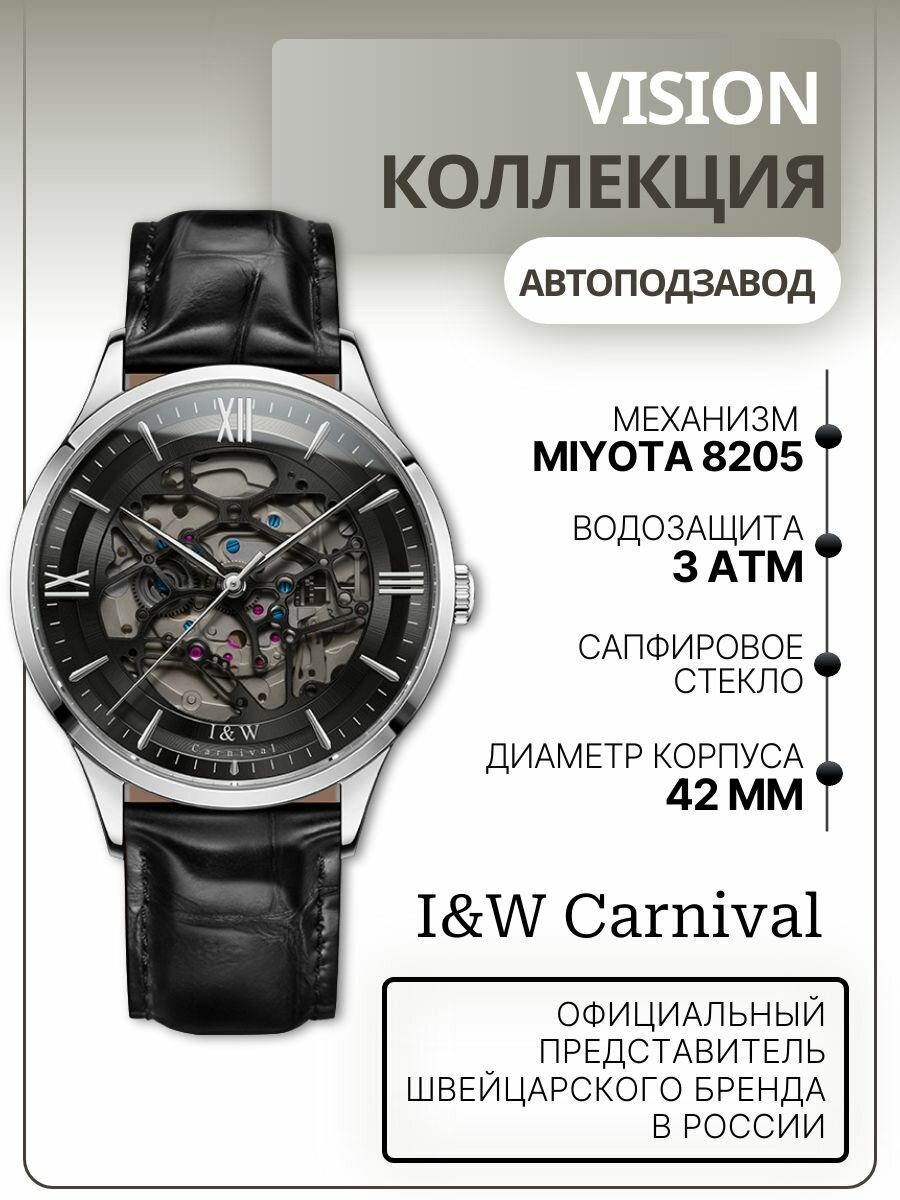 Наручные часы VISION COLLECTION