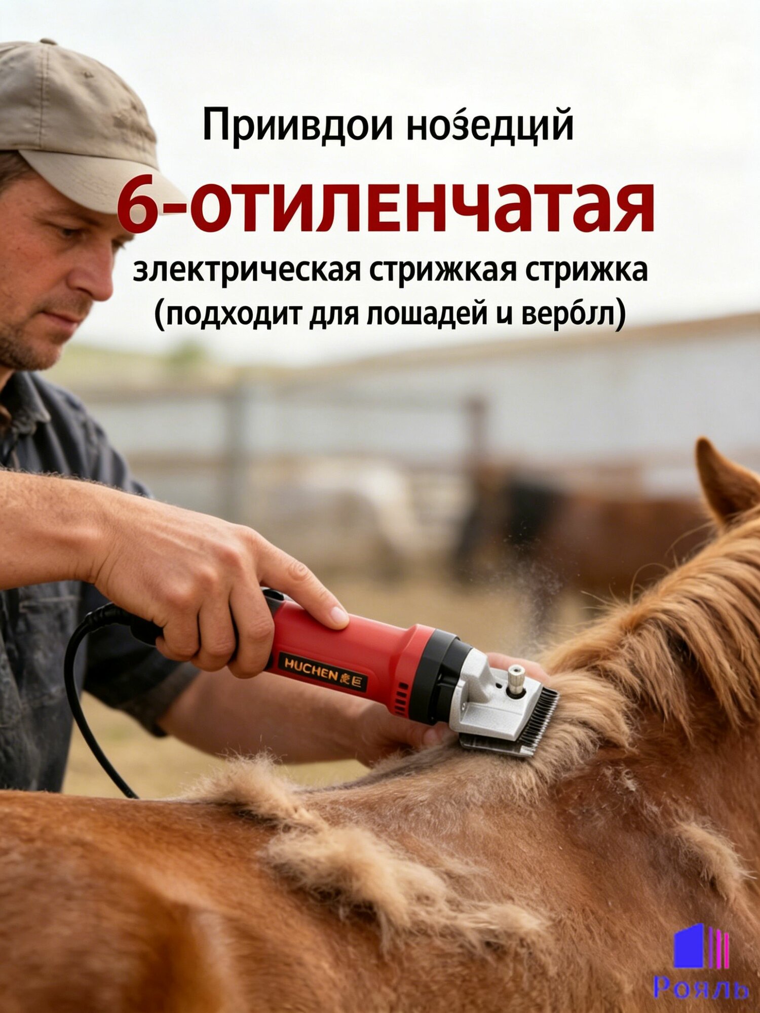 Электрическая машинка для стрижки лошадей и верблюдов, 690 Вт, 6 скоростей, 24000 об/мин, нож 77 мм, компактная 308 мм, для фермы