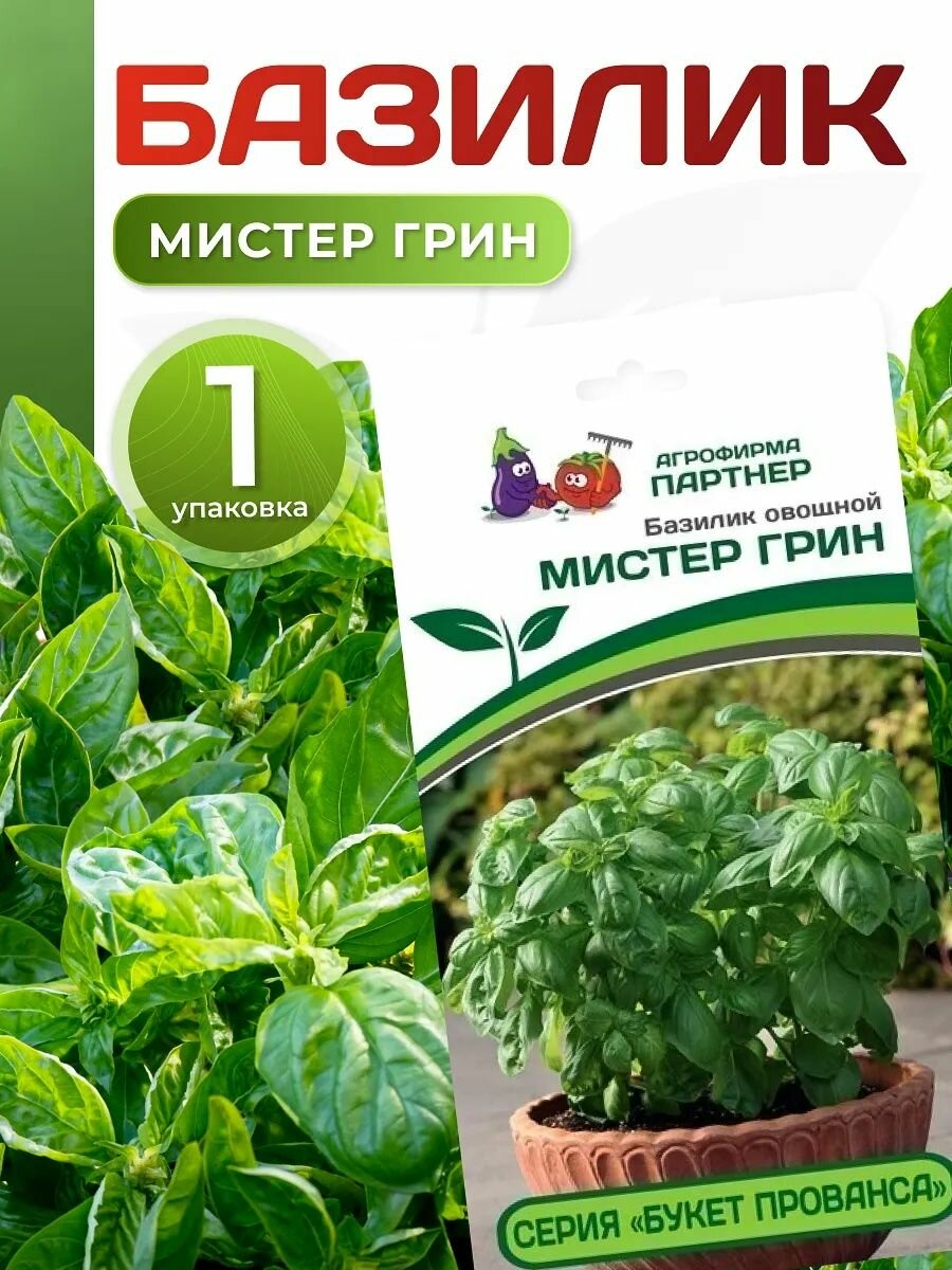 Семена базилика Мистер грин