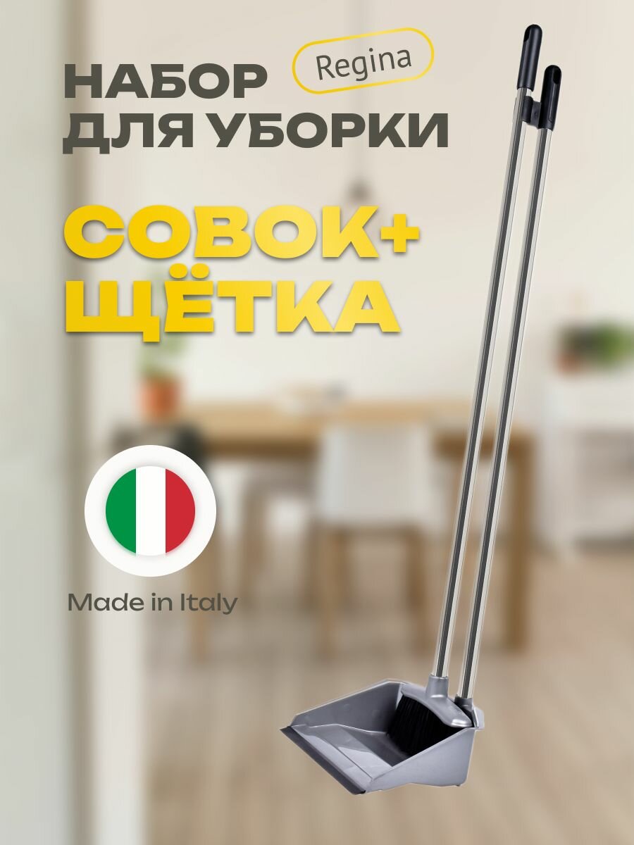 Набор для уборки щетка с совком Apex Regina