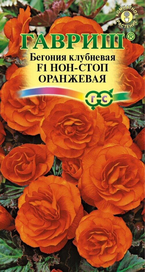 Семена бегонии Гавриш Нон-стоп оранжевая, клубневая, 4 шт 10003285